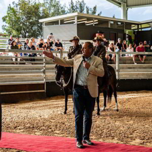 Scone White Park Arena - Felton Industries
